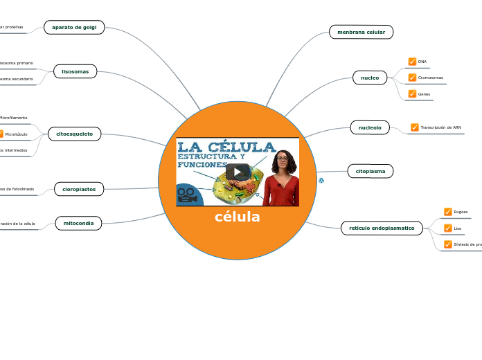 célula - Mind Map